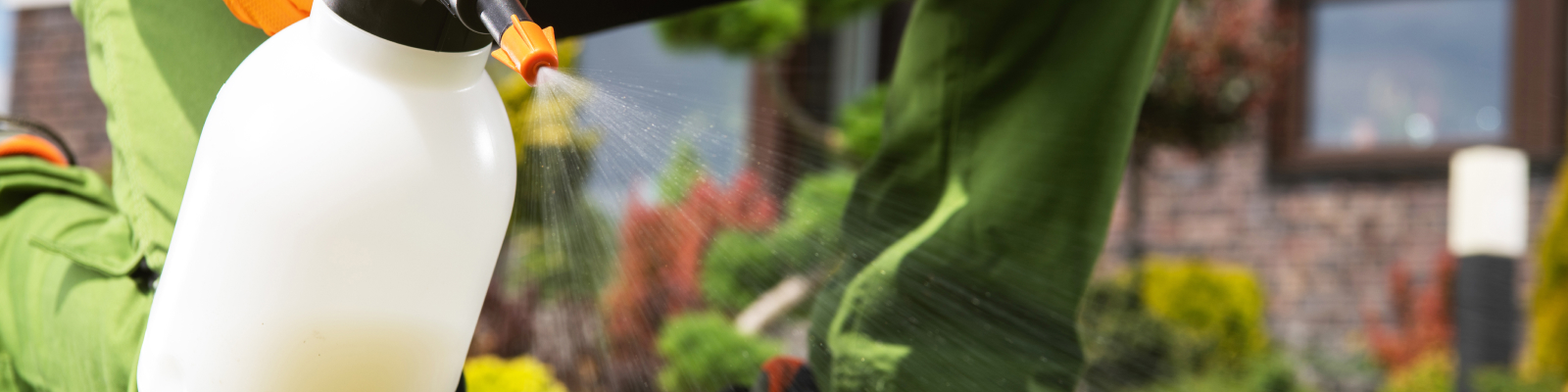 Tackling Seasonal Pest Control in Phoenix | Green Home Pest